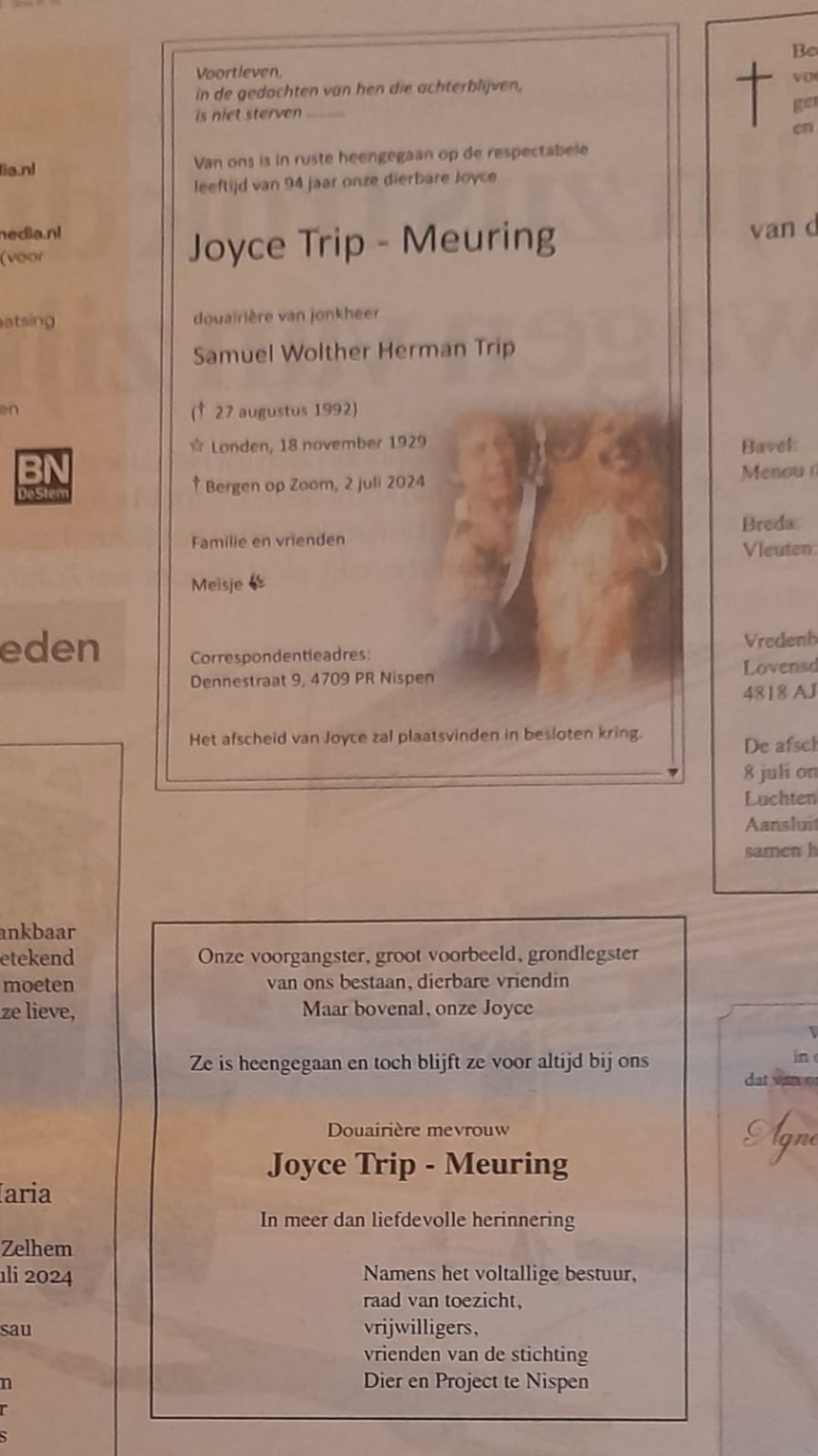 Joyce – DIER EN PROJECT